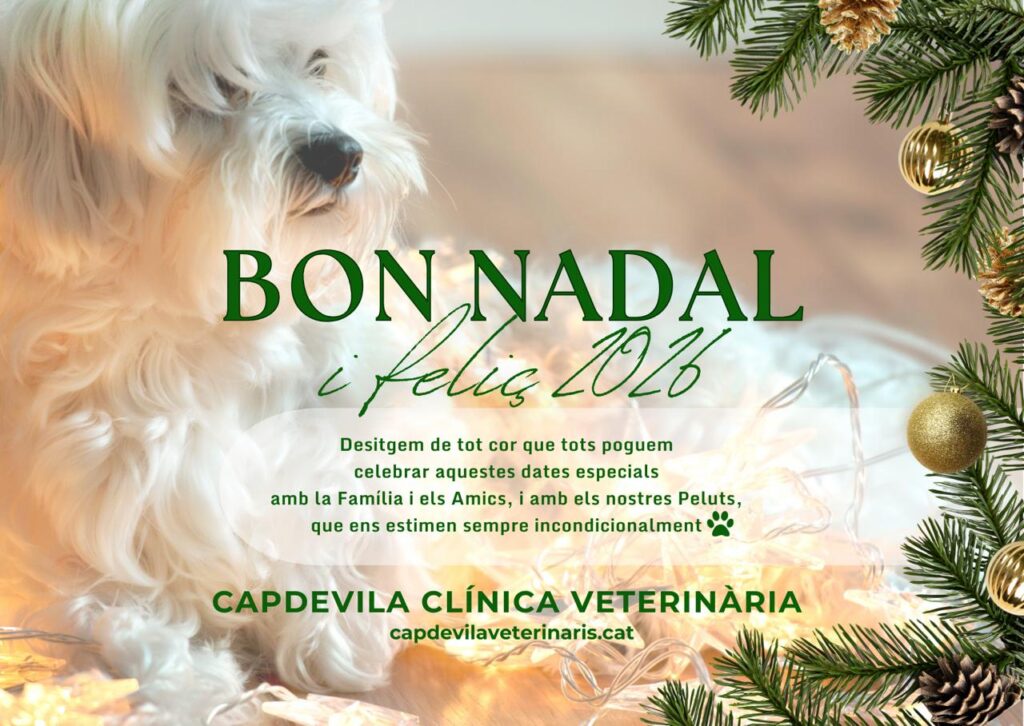 Feliz Navidad y Próspero 2026 - Capdevila Clínica Veterinària de Martorell
